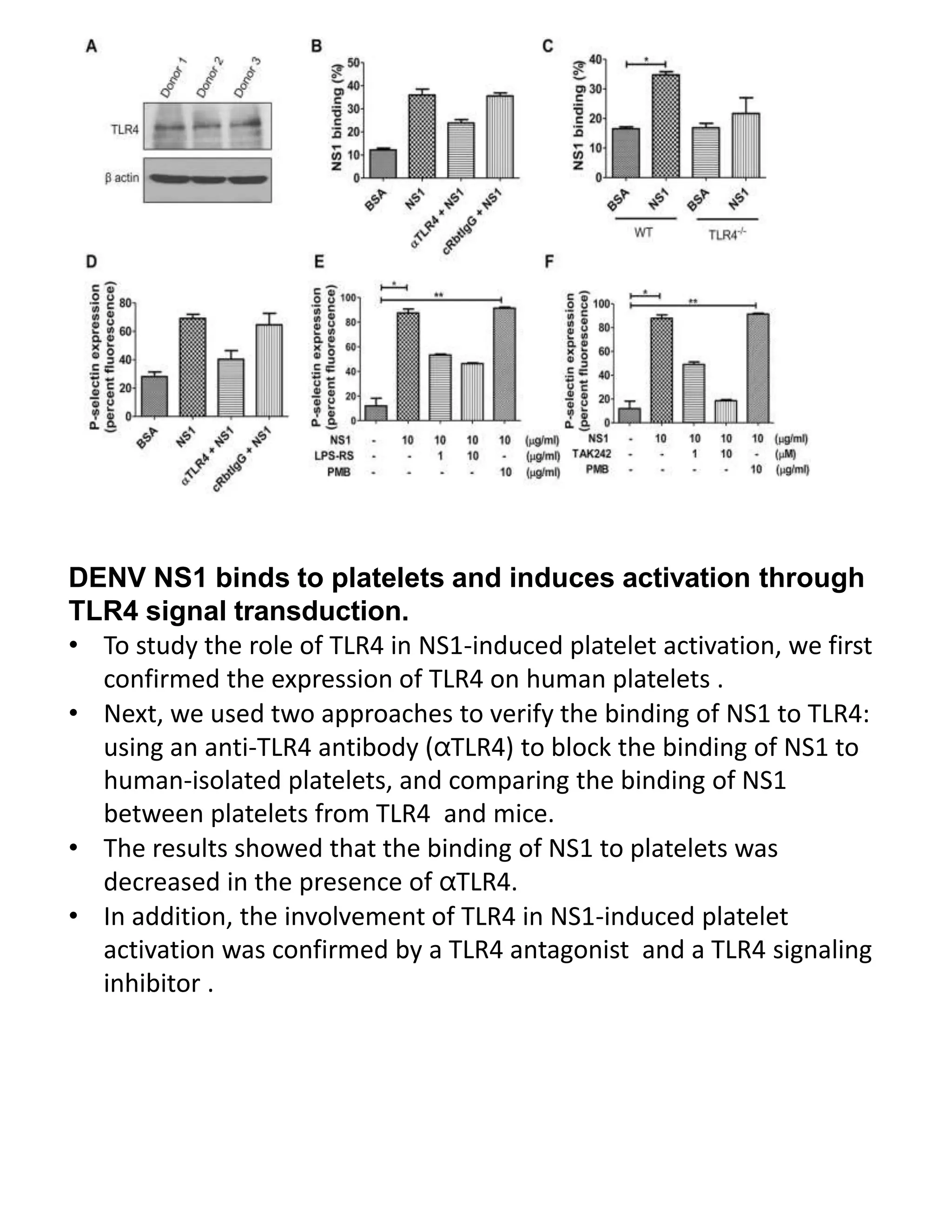 Ns1 protien in dengue virus causing thrombocytopenia. | PPTX | Infectious Diseases | Diseases ...