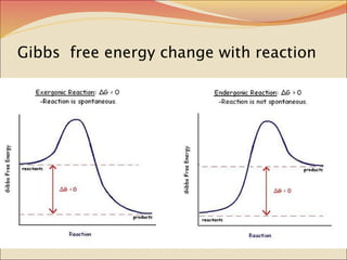 Plotting of different parameters entropy, enthalpy, gibbs free energy ...