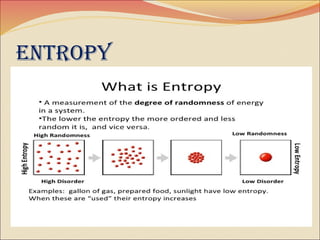 Plotting of different parameters entropy, enthalpy, gibbs free energy ...