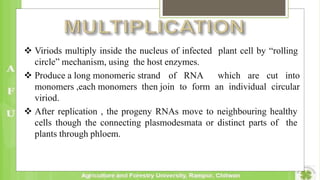 Introduction, history of phytovirology and viroids | PPTX