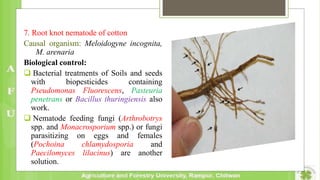 Potential of biocontrol of cotton insect and diseases | PPT