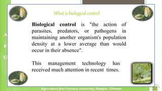 Potential of biocontrol of cotton insect and diseases | PPT