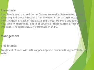 Disease of field crops | PPTX