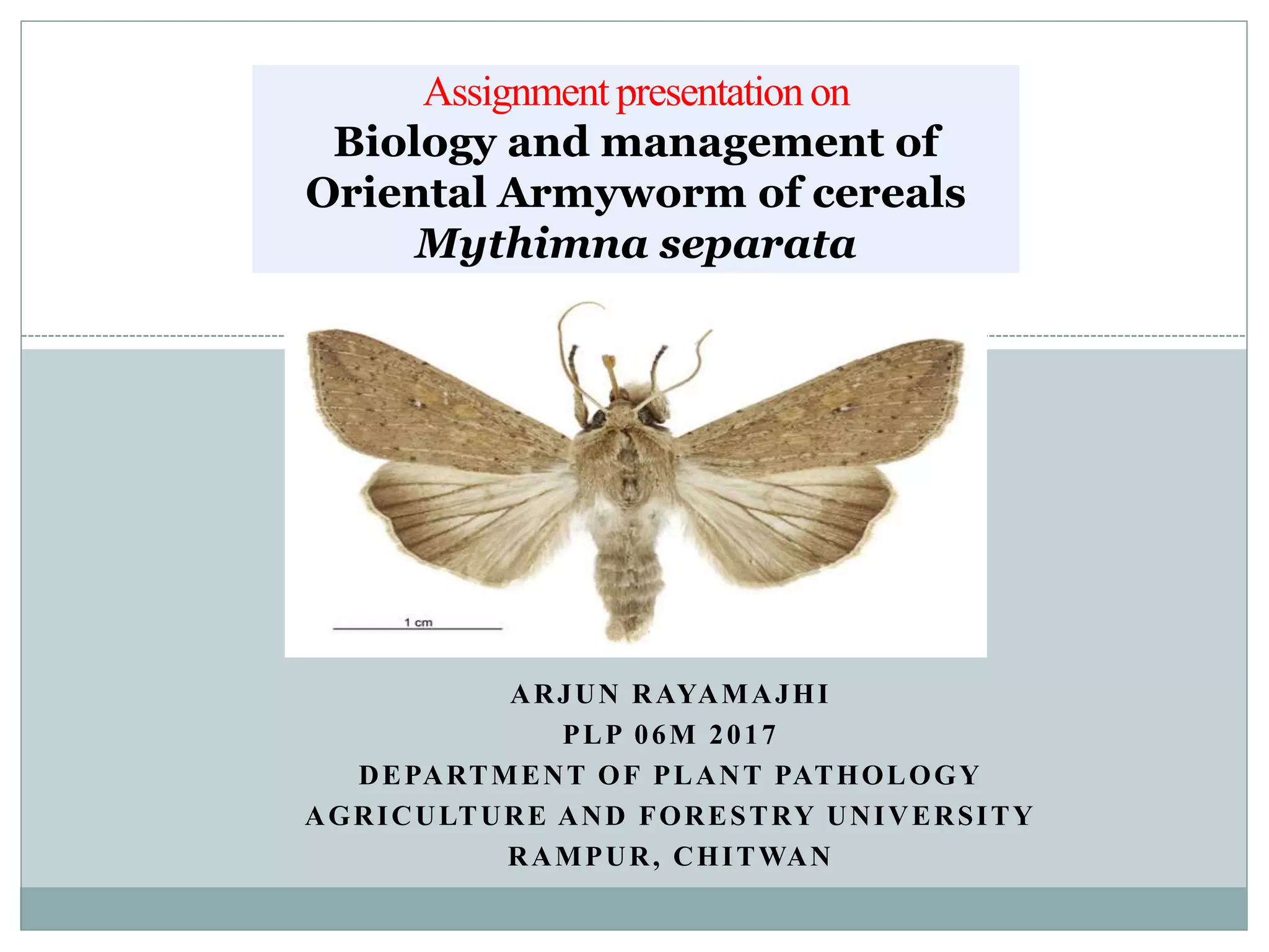 Biology and management of armyworm of cereals Mythimna separata walker ...