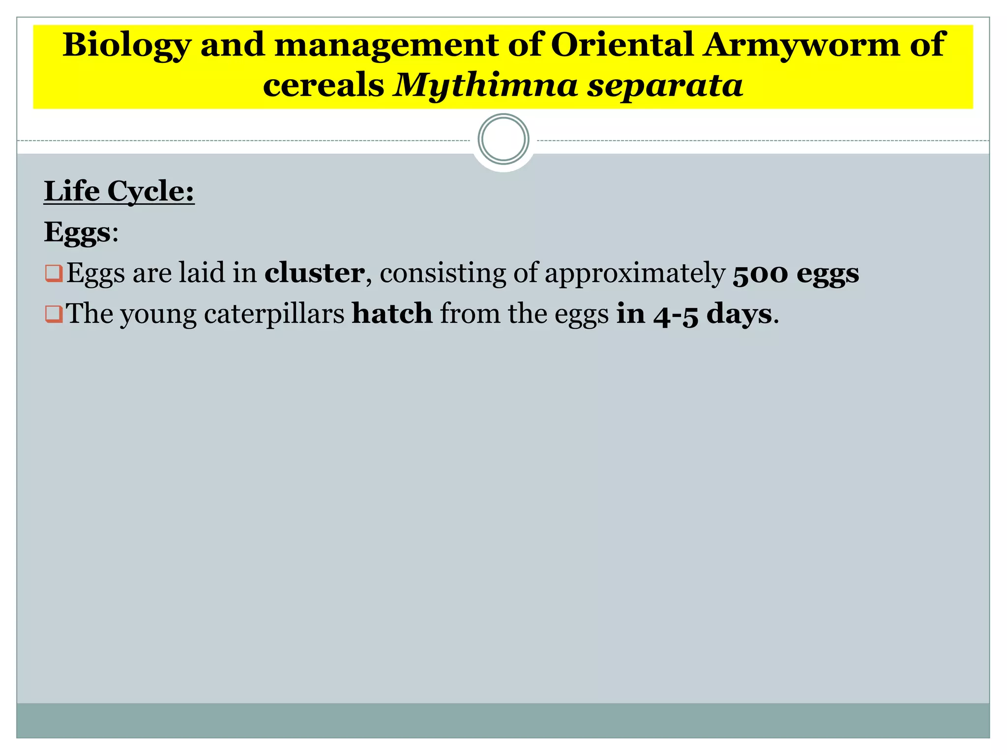 Biology and management of armyworm of cereals Mythimna separata walker ...