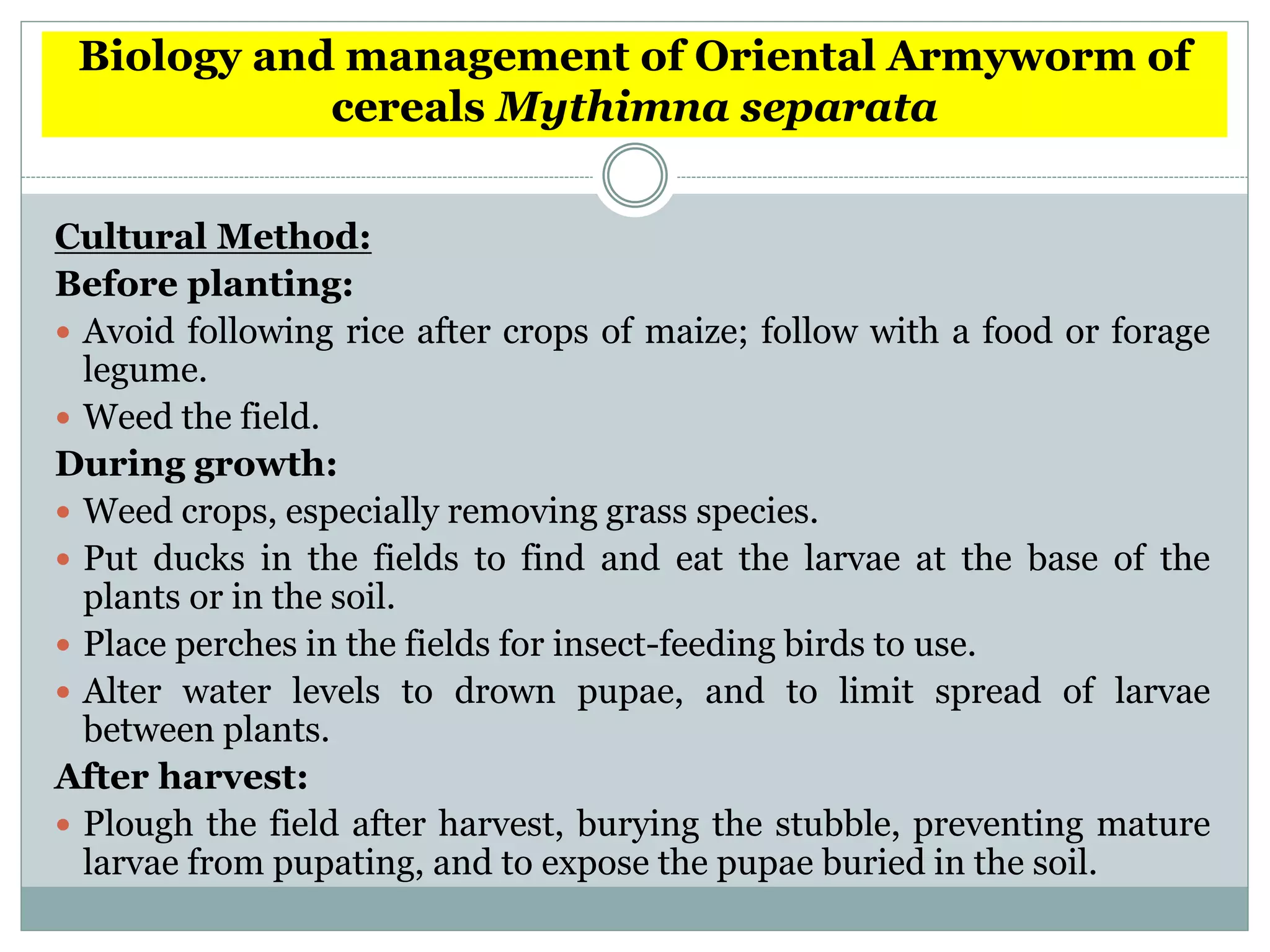 Biology and management of armyworm of cereals Mythimna separata walker ...