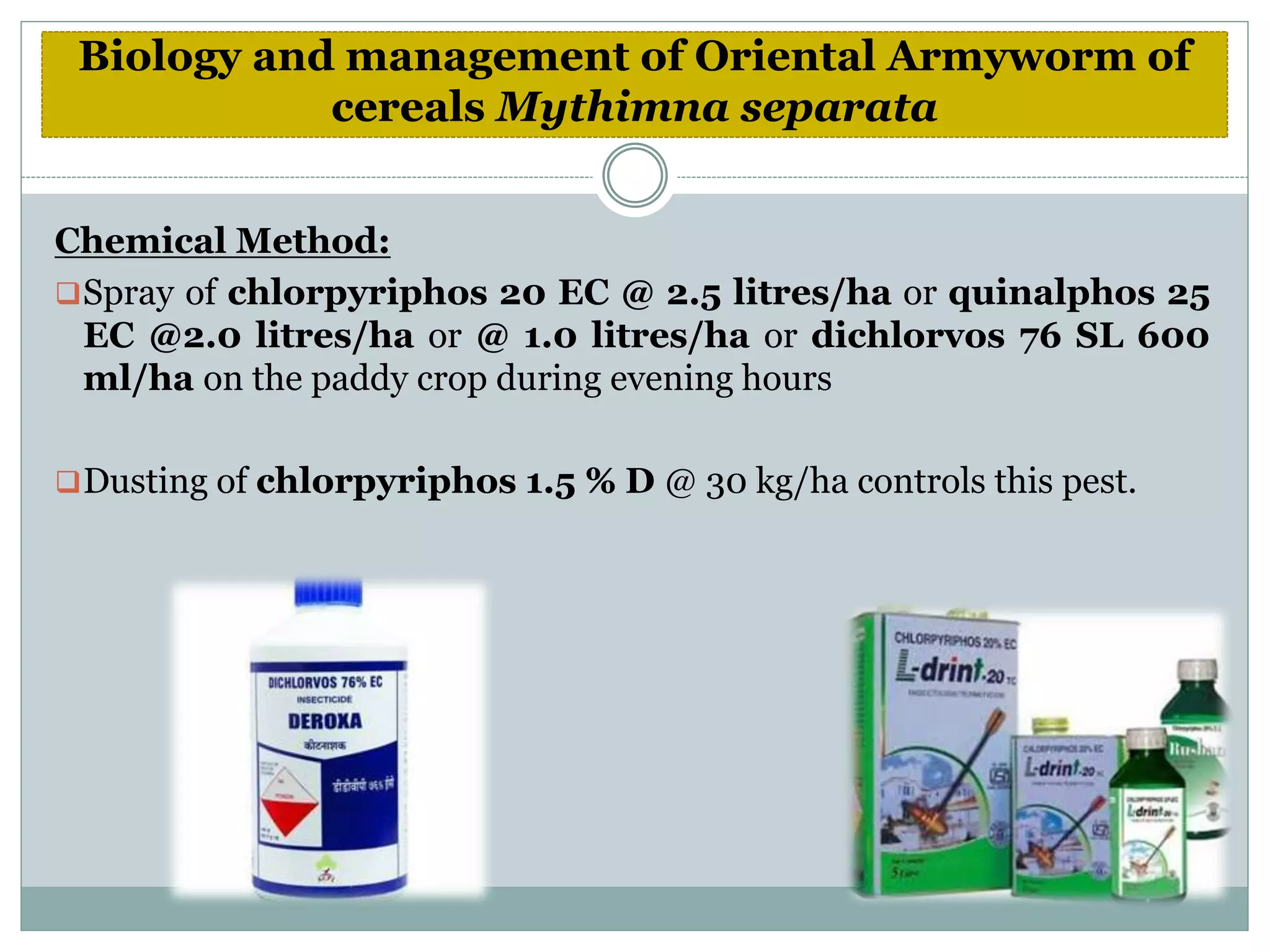 Biology and management of armyworm of cereals Mythimna separata walker ...