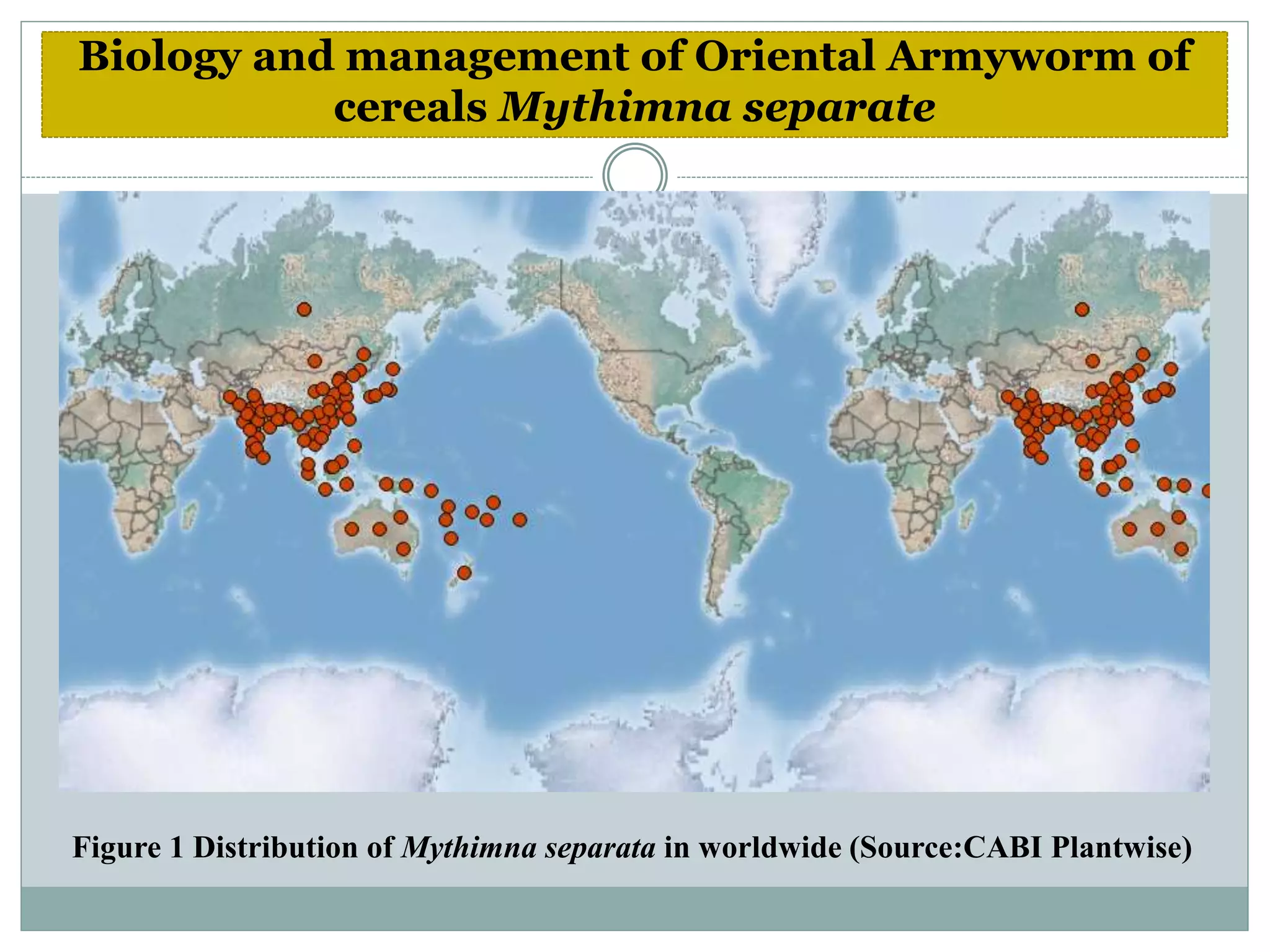 Biology and management of armyworm of cereals Mythimna separata walker ...