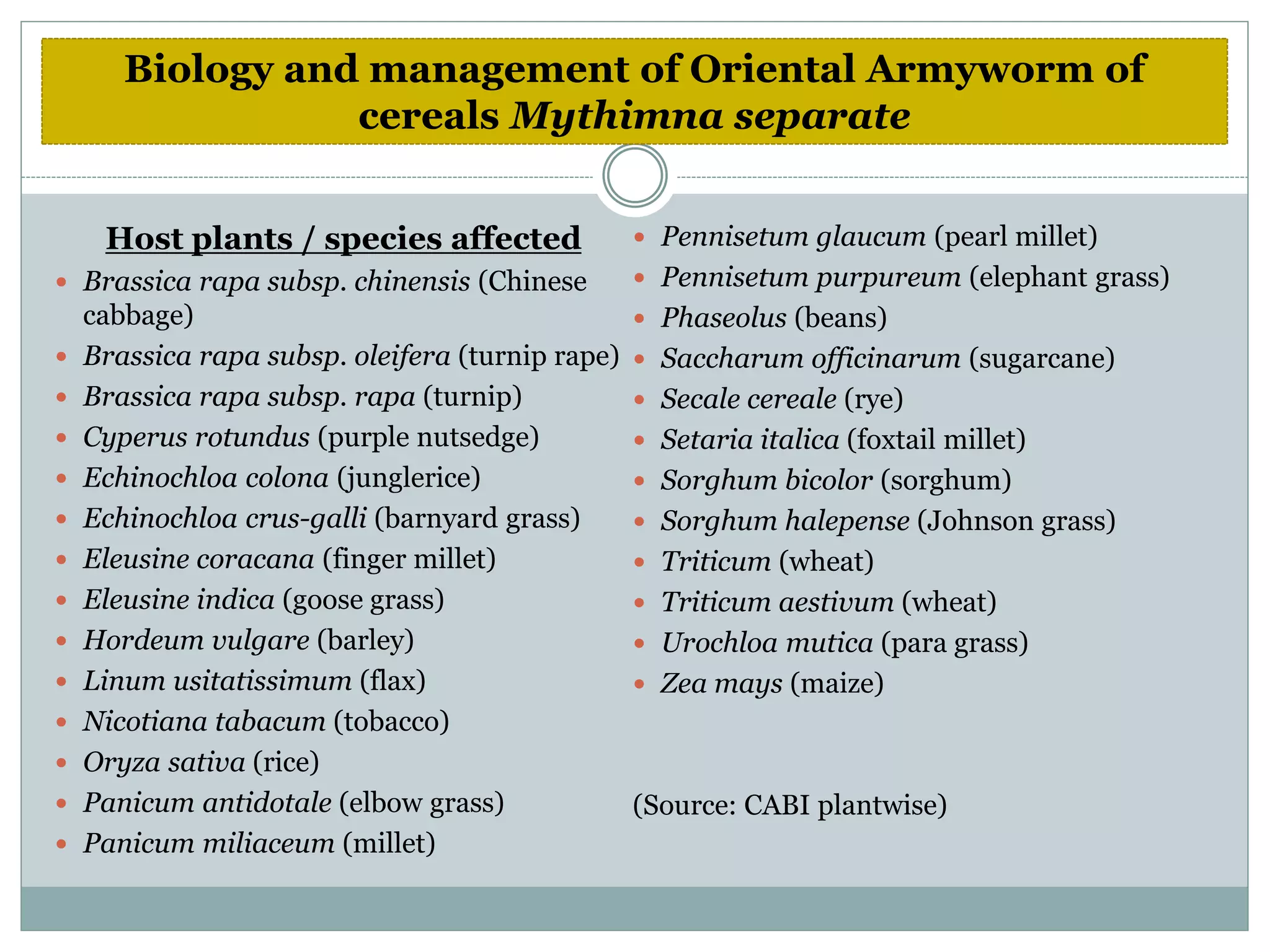 Biology and management of armyworm of cereals Mythimna separata walker ...