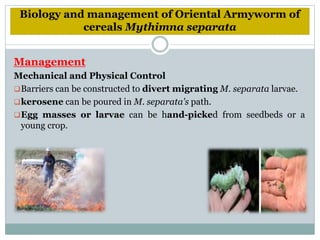 Biology and management of armyworm of cereals Mythimna separata walker ...