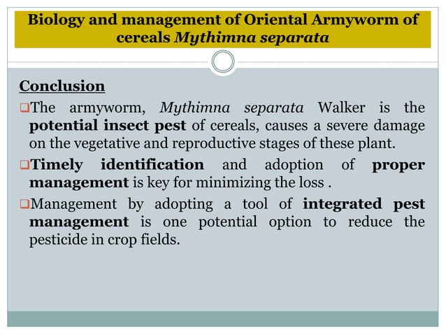 Biology and management of armyworm of cereals Mythimna separata walker ...