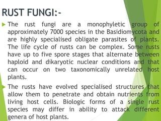 IDM on Rust Fungi | PPTX