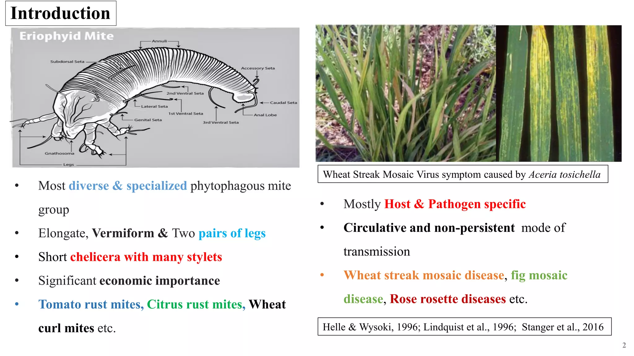 Eriophyoid Mites as Vector of Plant Pathogens | PPT
