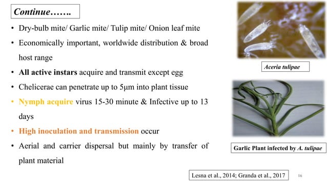 Eriophyoid Mites as Vector of Plant Pathogens | PPT