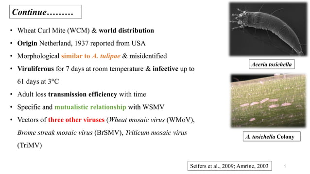 Eriophyoid Mites as Vector of Plant Pathogens | PPT