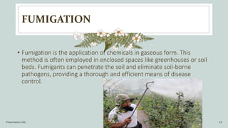 PLPT 6315.pptx plant diseases management | PPT