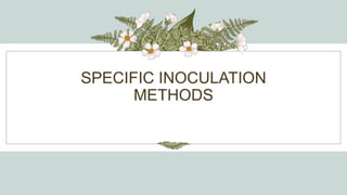 PLPT 6315.pptx plant diseases management | PPT