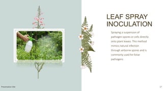 PLPT 6315.pptx plant diseases management | PPT