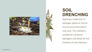 PLPT 6315.pptx plant diseases management | PPT