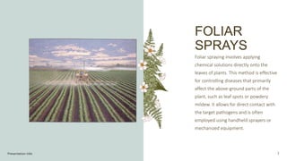 PLPT 6315.pptx plant diseases management | PPT