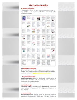 PLR - How to Build Converting Offers.pdf