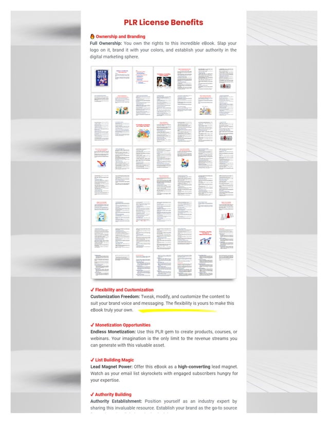 PLR - How to Build Converting Offers.pdf