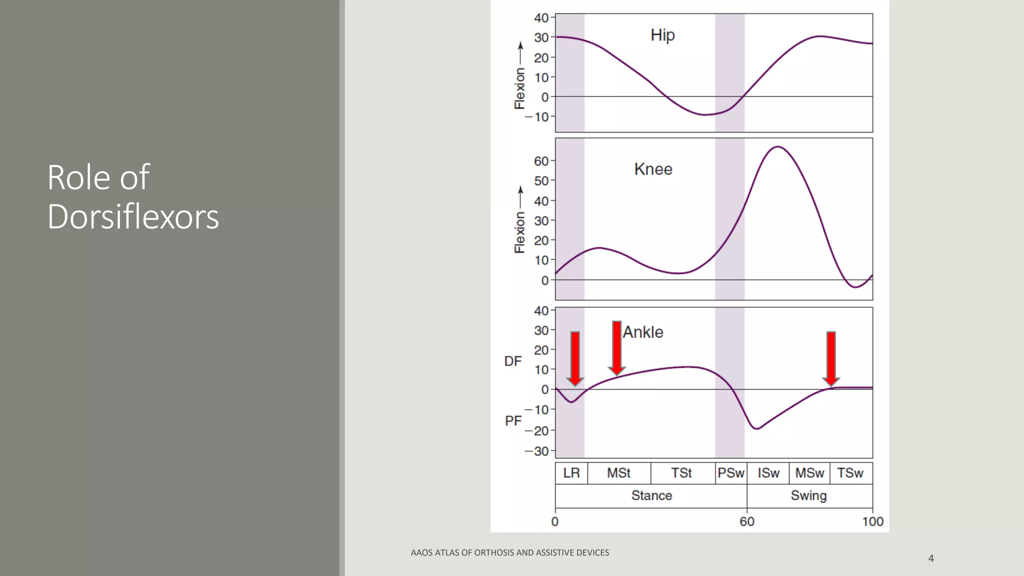 Posterior leaf spring orthosis | PPTX