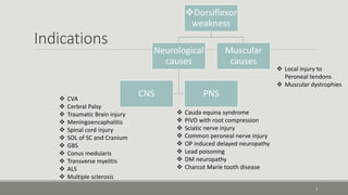 Posterior leaf spring orthosis | PPT