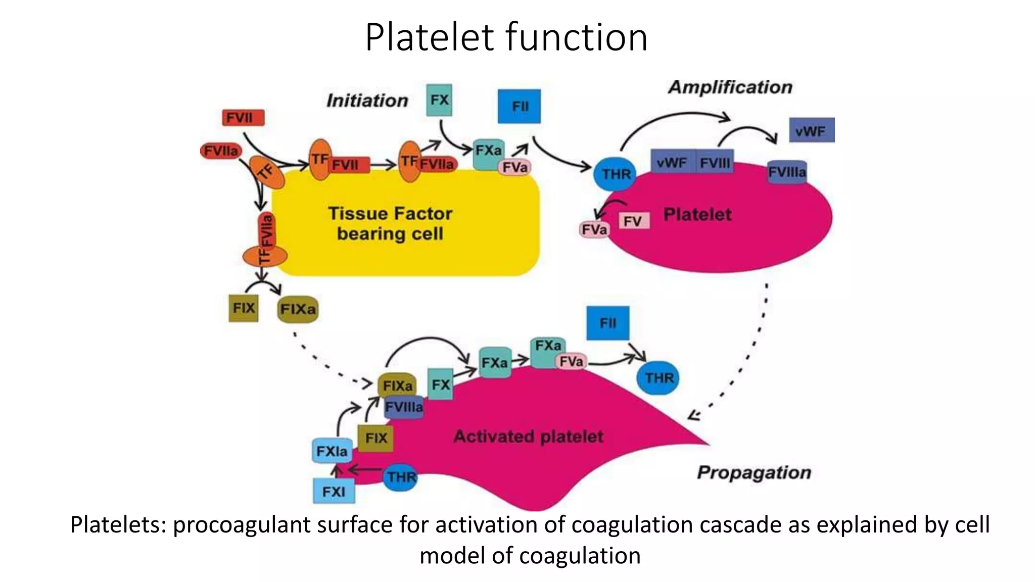 platelet function, disorders and its assesment | PPTX