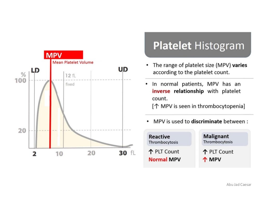 Platelets Histogram