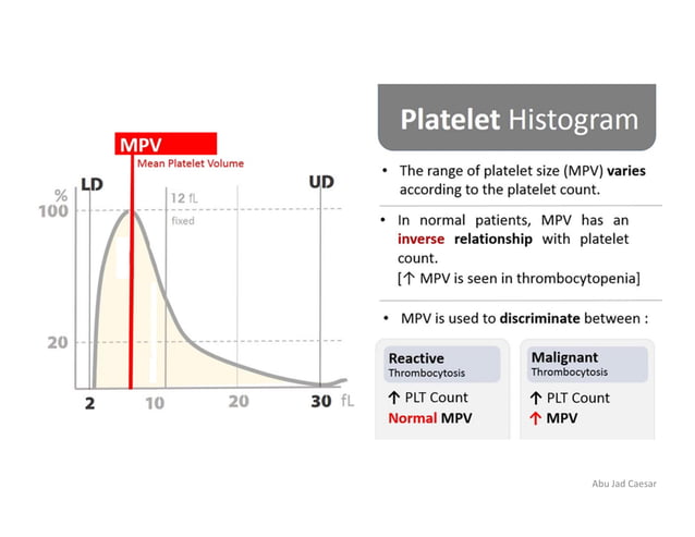 Updated - Platelet histogram | PPT