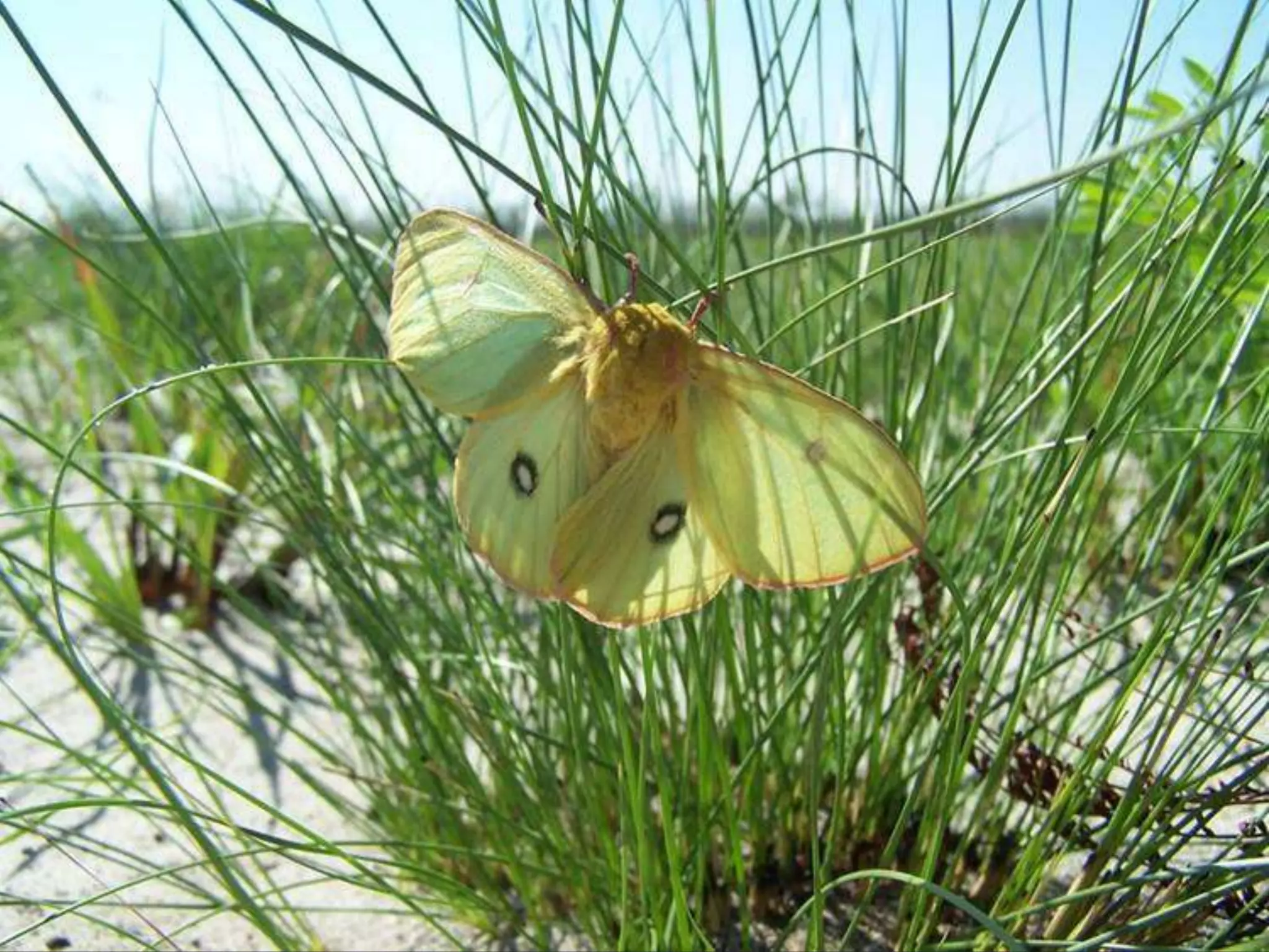 Plt interesting inventory discoveries | PPTX