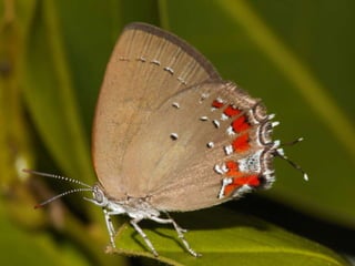 Plt interesting inventory discoveries | PPTX