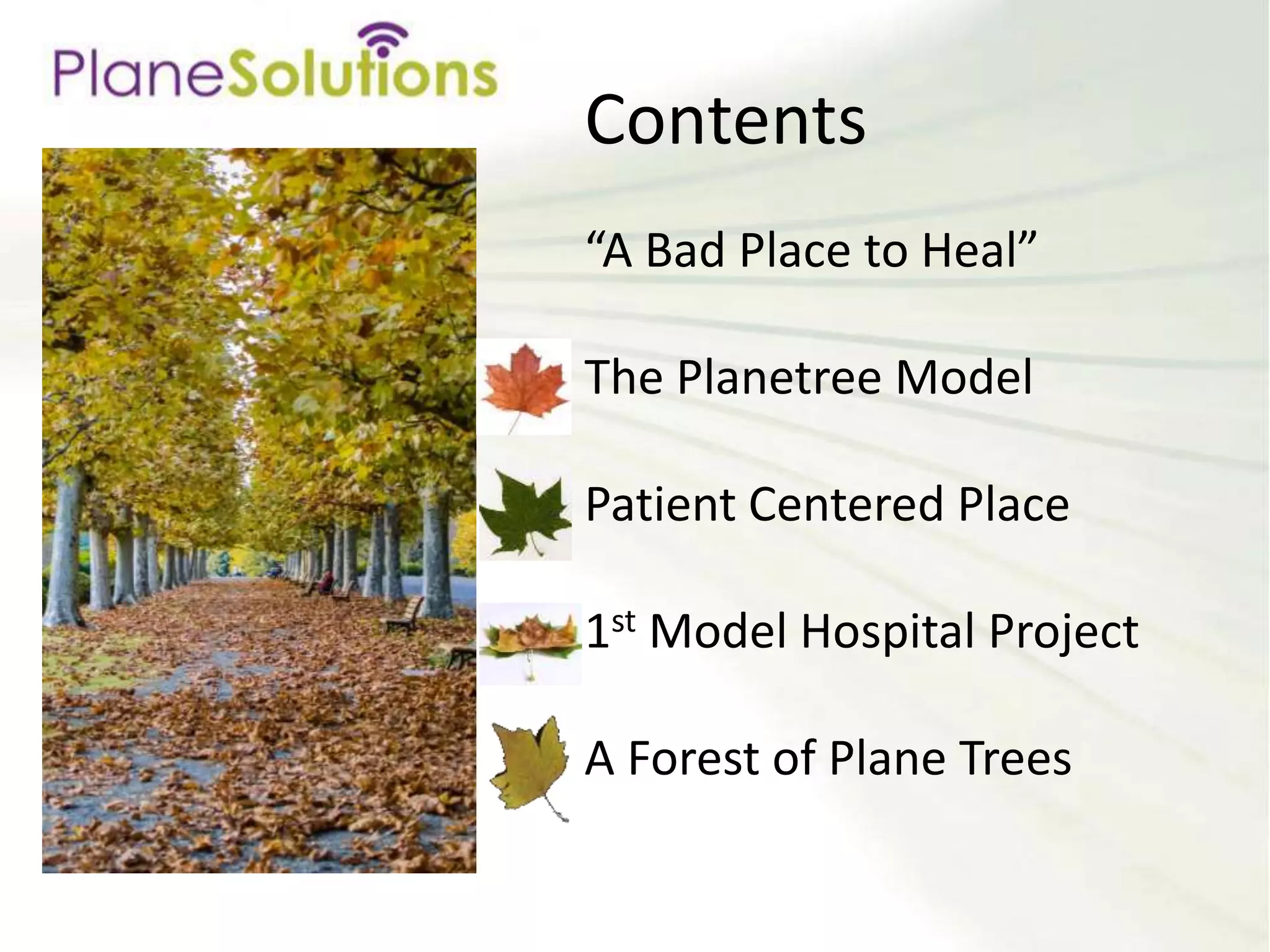 Research Roots of Planetree Patient-Centered Design | PPTX
