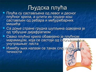 Плућа - Војводић М. | PPT