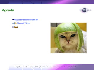 Eclipse Plug-in Develompent Tips And Tricks | PPT