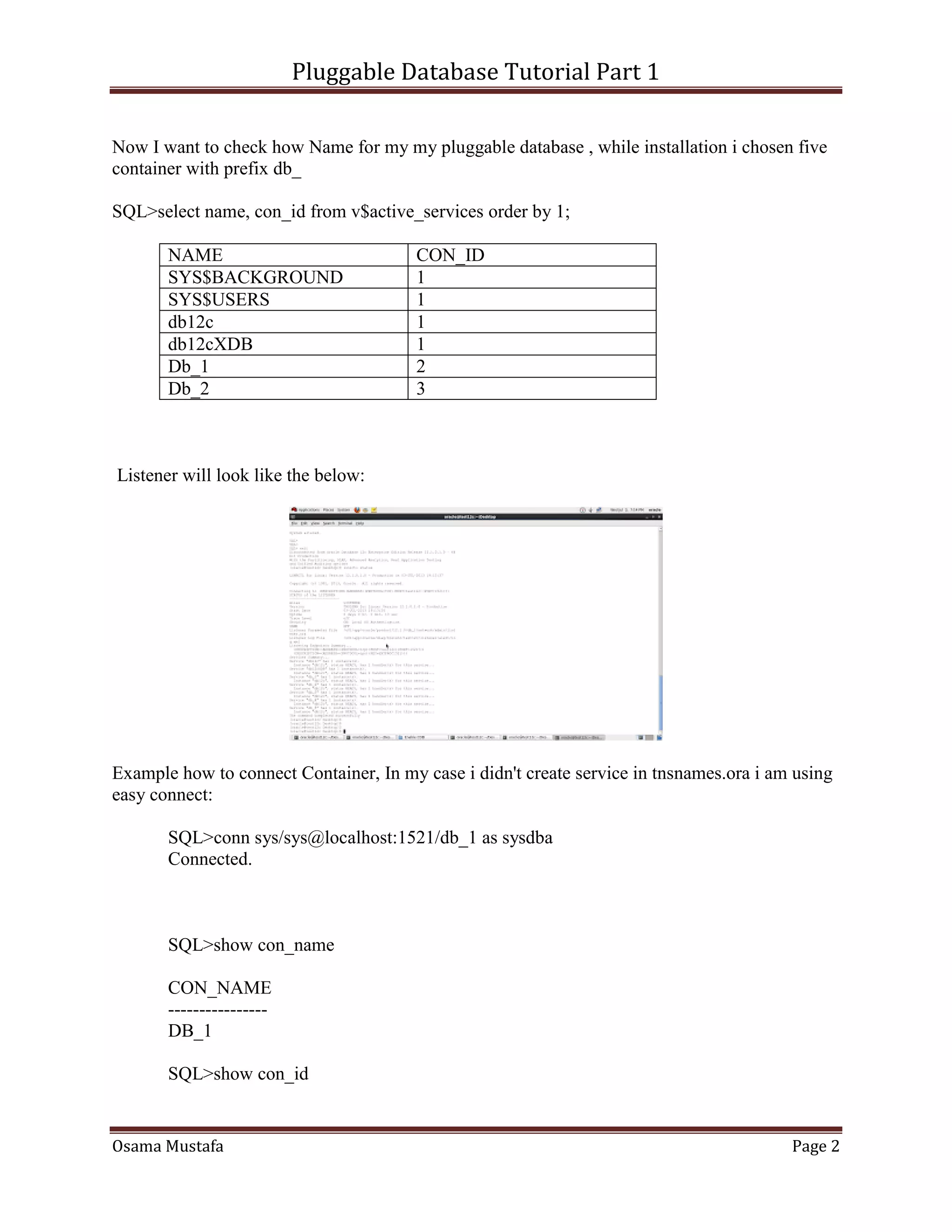 Pluggable database tutorial | PDF | Databases | Computer Software and Applications
