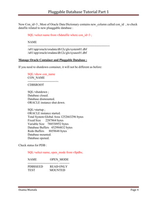 Pluggable database tutorial | PDF | Databases | Computer Software and Applications