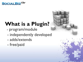WordPress Plugin Basics | PDF | Computing | Technology & Computing