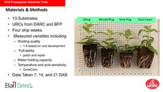 Growing Media for Plug & Cutting Production | PPT