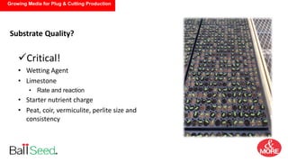 Growing Media for Plug & Cutting Production | PPT