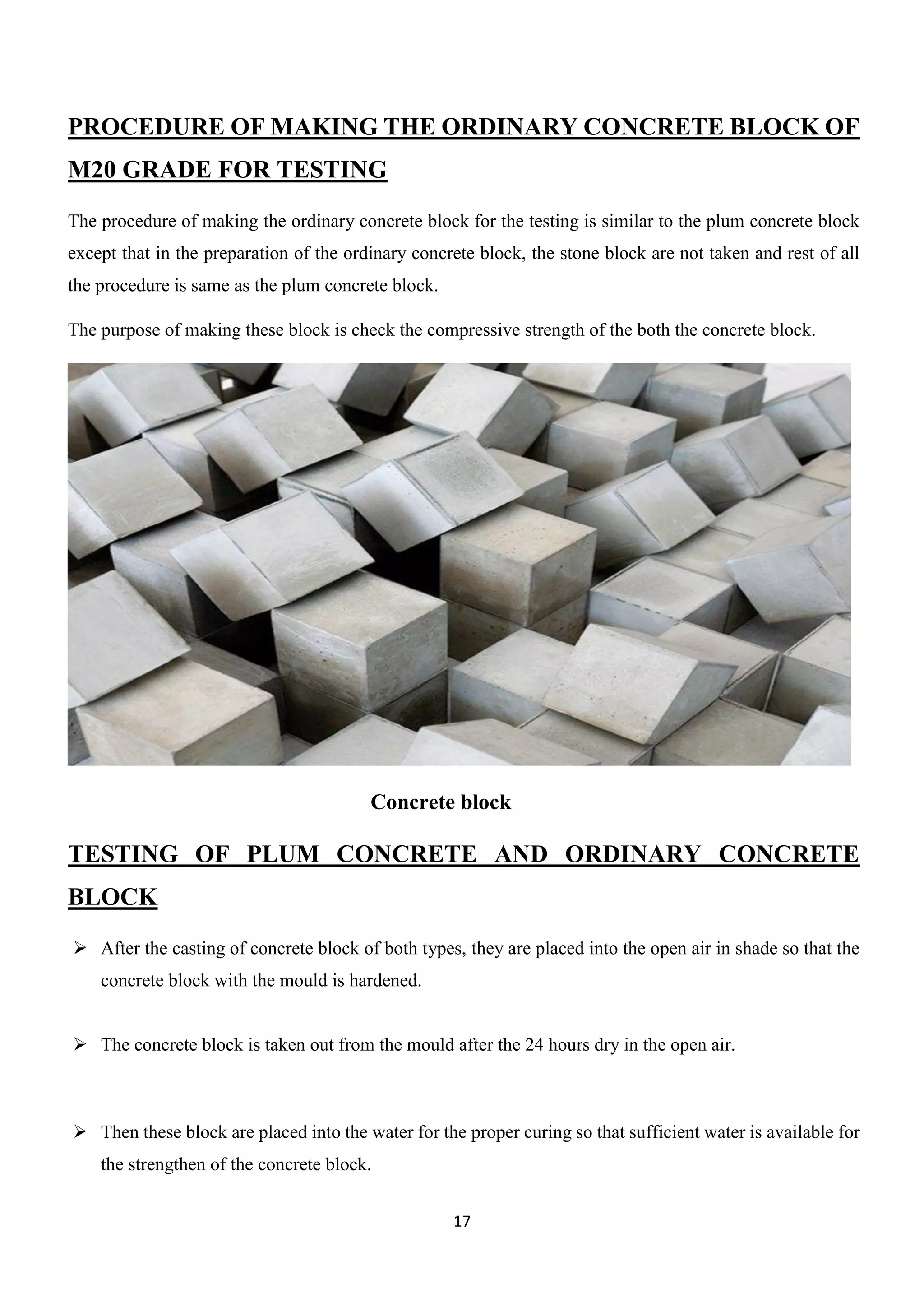 Plum concrete (major project).pdf