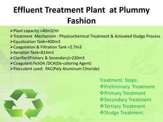 Plummy ppt | PPT