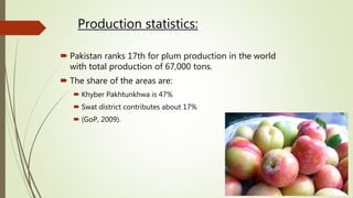 Post harvest handling of Plum | PPTX