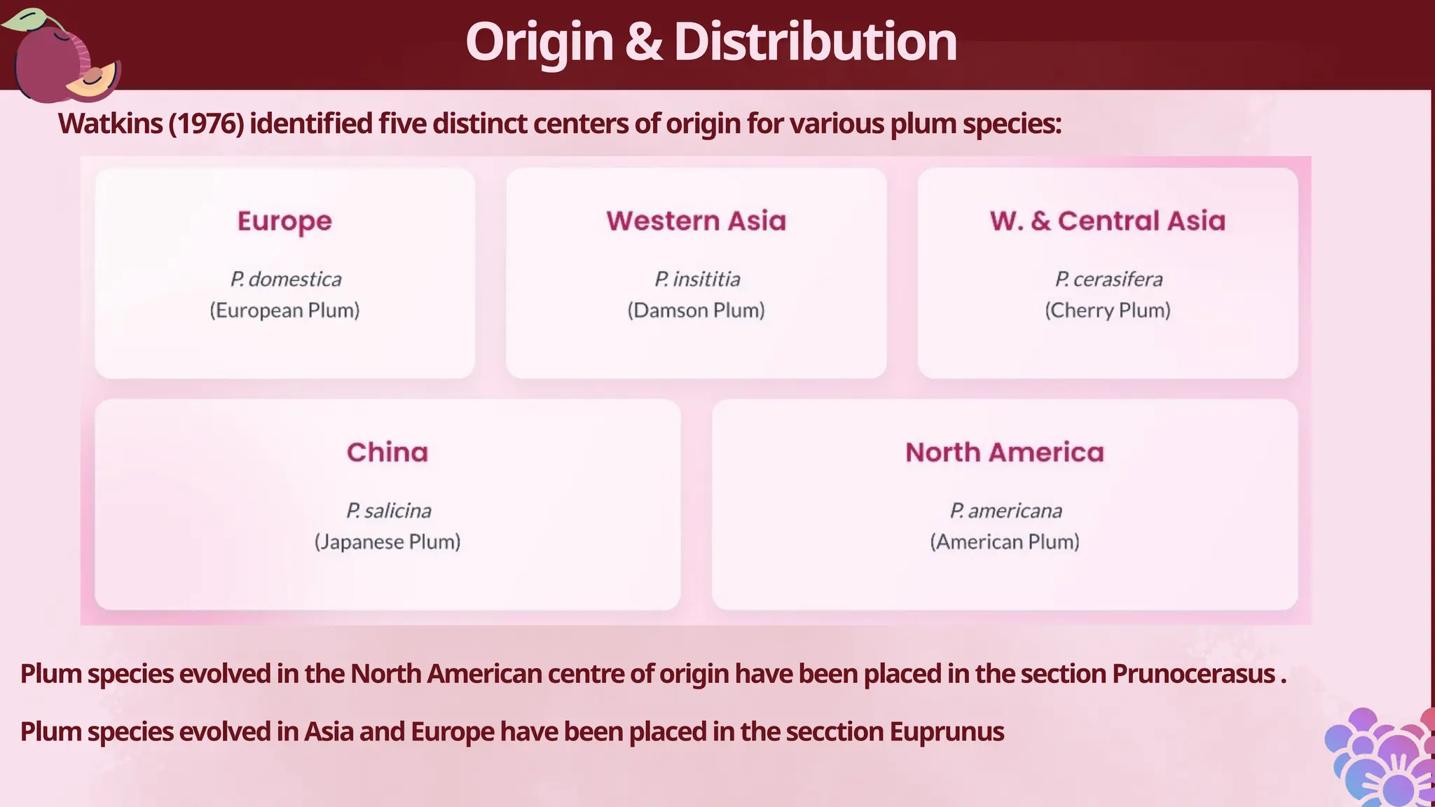 PLUM PRODUCTION TECHNOLOGY FOR YOUR COLLEGE SUBJECTS | PPTX