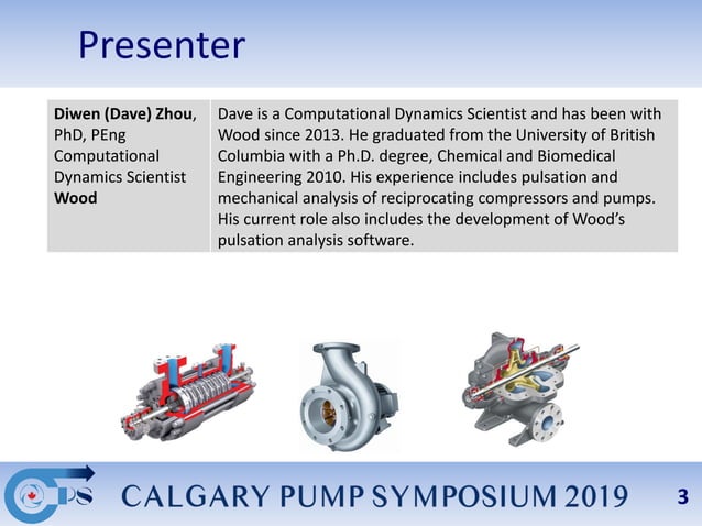 Plunger Pumps Pulsation Dampener Designs | PDF | Physics | Science