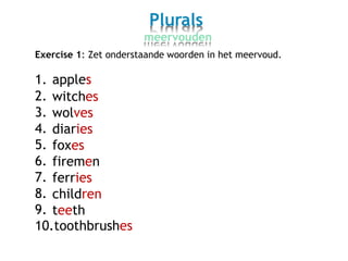 Plurals/ Meervouden | PPTX