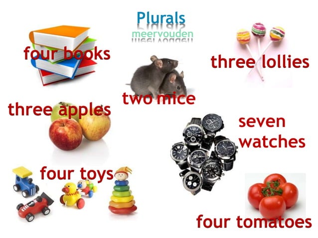 Plurals/ Meervouden | PPT