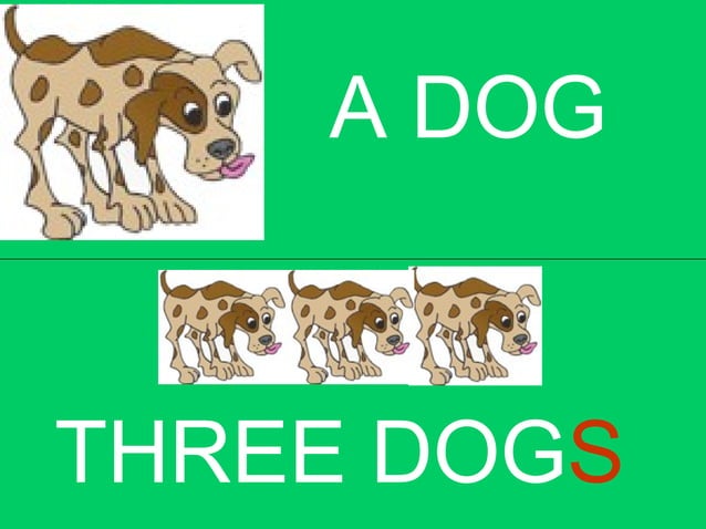 Plural, 5 gr, Project 1, UNIT 1 | PPT