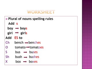 Plural forms | PPTX | Oral care | Personal Care